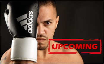 UBO - Universal Boxing Organization